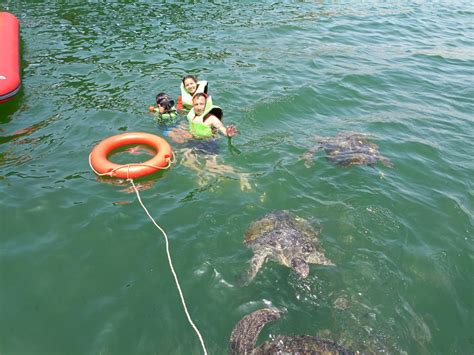 Tumbes creación de la Reserva Mar Tropical ayudará a la conservación