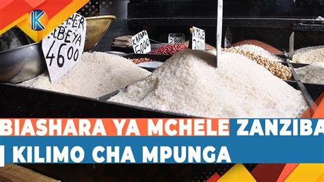 BIASHARA YA MCHELE ZANZIBAR KILIMO CHA MPUNGA YouTube