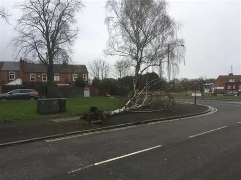 Storm Ciara Recap Snow Falls In Nuneaton Fallen Tree Blocks M And