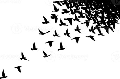 fliegende Vögel Silhouetten Mustertapete png transparent isolierter