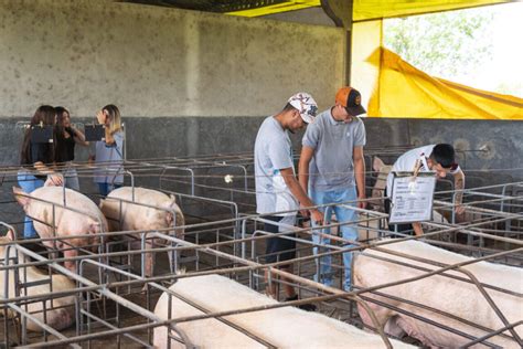 Governo prevê potencializar colégios agrícolas do Paraná dcmais