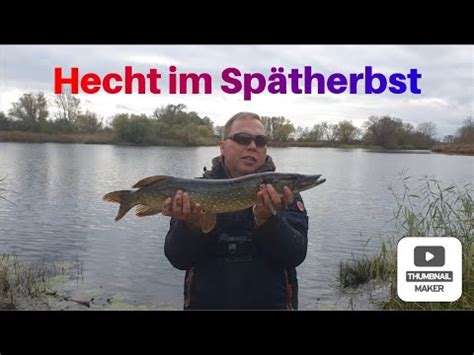 Hecht Im Sp Therbst Youtube