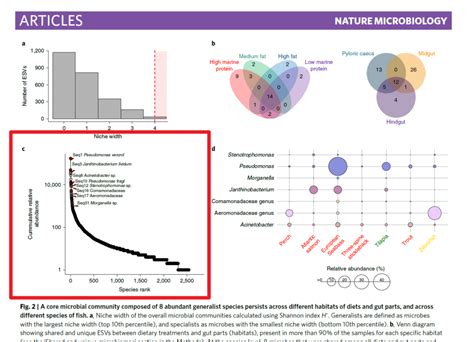 如何使用r语言ggplot2画散点图 大数据 亿速云