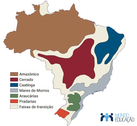 Domínios morfoclimáticos do Brasil Mundo Educação