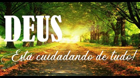 DEUS ESTÁ CUIDANDO DE TUDO CONFIE MENSAGEM DE REFLEXÃO DE VIDA E