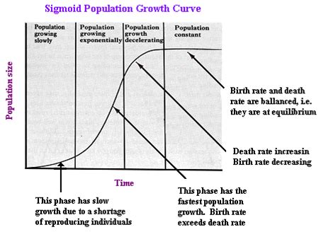 Ch Population Growth And Regulation Diagram Quizlet