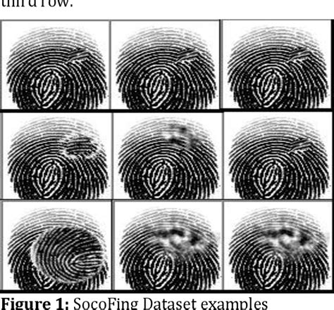 figure 1 from robustness of fingerprint liveness detection based on convolutional neural