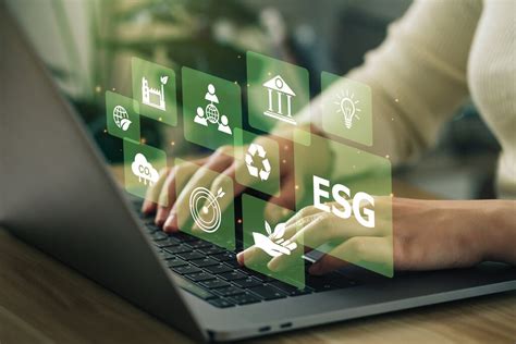 5 práticas sustentáveis que toda empresa pode adotar CG Ambiental