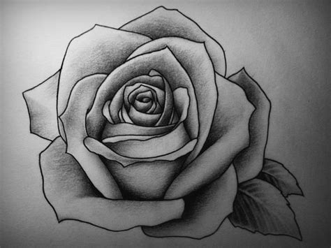 Sombreada Rosa Desenho Tattoo Aulas De Desenho Para Crian As Desenho