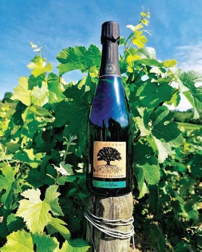 Guillaume Marteaux Champagne Le Metisse Story In A Bottle Wines