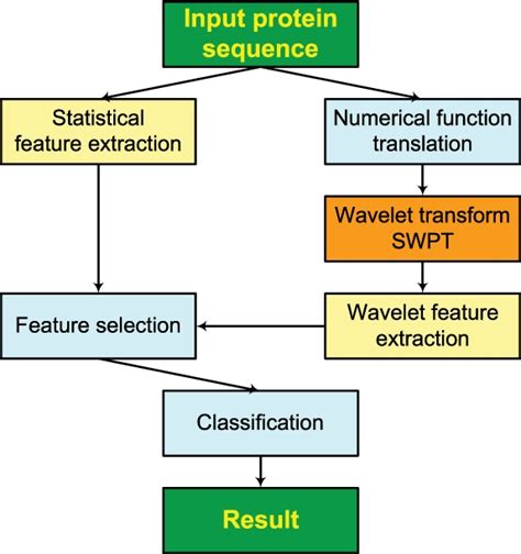 the block diagram of wavelet method for solenoid and non solenoid download scientific diagram