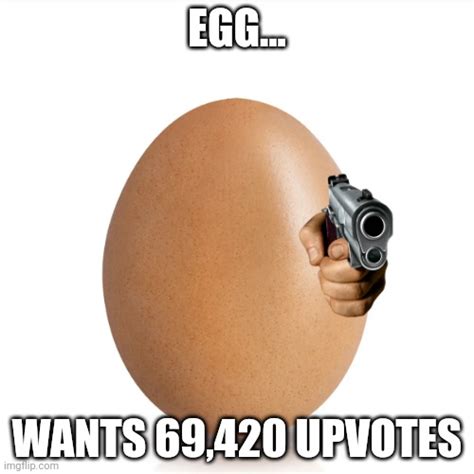 Egg Imgflip