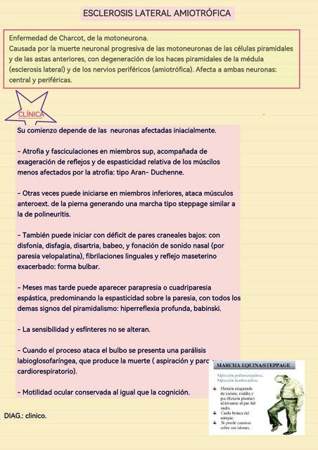 Esclerosis múltiple lateral amiotrófica daiana sarmiento uDocz