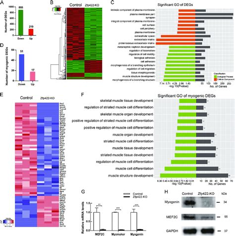 Identification Of Differentially Expressed Genes Degs Caused By