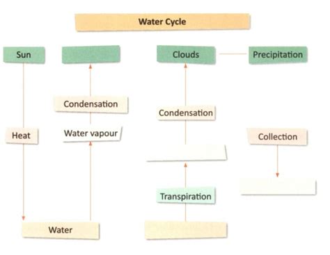 Complete This Concept Map Of Water Cycle Brainly In