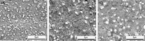 Surface Morphology Of The Powder Immersion Reaction Assisted PIRAC