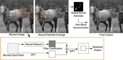 a neural approach to blind motion deblurring