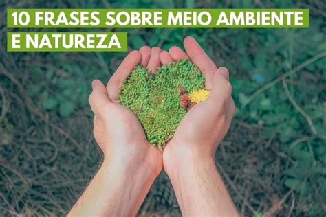 10 Frases Sobre Meio Ambiente E Natureza CicloVivo