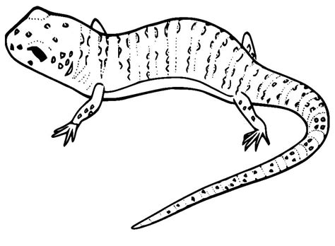 Coloriage Lézard Gratuit télécharger et imprimer gratuit sur