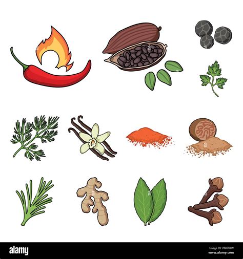Herb And Spices Cartoon Icons In Set Collection For Design Different