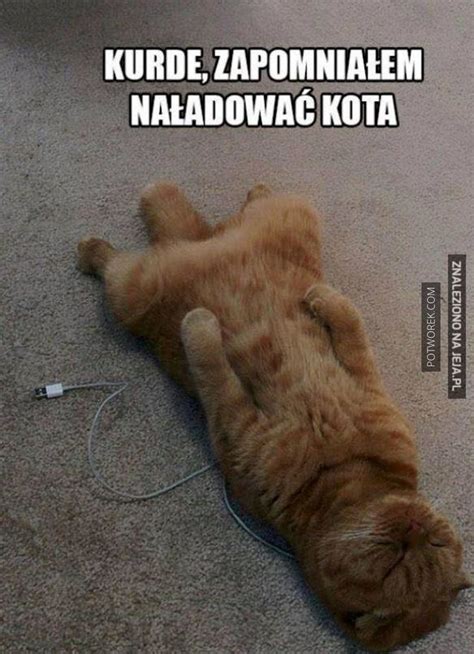 Demotywatory Memy Potworek dowcipy kawały śmieszne