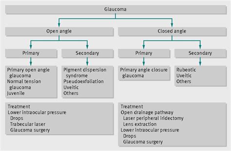 glaucoma the bmj