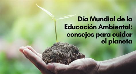 Día Mundial de la Educación Ambiental Qué podemos hacer