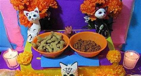 D A De Muertos De Mascotas Cu Ndo Llegan Las Mascotas Al Altar