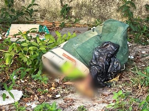 URGENTE Partes de corpo esquartejado são encontrados na zona Norte de
