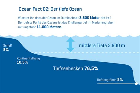 10 Fakten über Meere