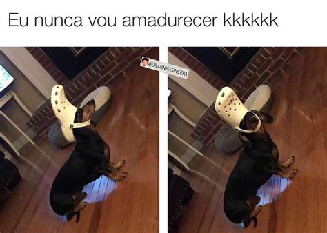 Quando Voc Tira Nota Boa Na Prova Que Todos Os Seus Amigos Foram Mal