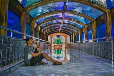 Wisata Aquarium Jawa Tengah