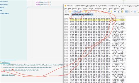 Via Ioread Method Reading Bytes From File Got Char Mixed With Hexadecimal Number Python