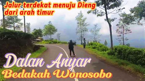 Travelling Info Update Indahnya Hamparan Kebun Teh Di Jalan