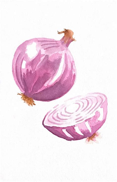 Onion An Onion Drawn With Watercolor Watercolor Art Lessons