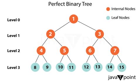 perfect binary trees javatpoint