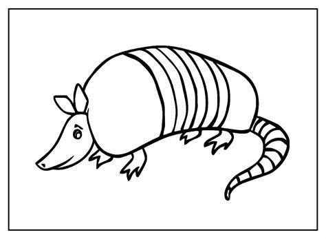 Desenhos De Tatu Para Colorir Bora Colorir
