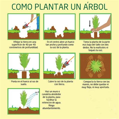 Ejemplo De Texto Instructivo
