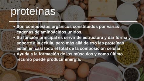 Datos sobre las Proteínas MARYURI LISBETH uDocz