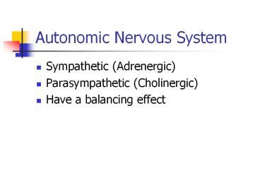 Ppt Autonomic Nervous System Powerpoint Presentation Free To