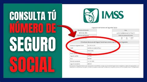 Cuál es mi número de Seguro Social