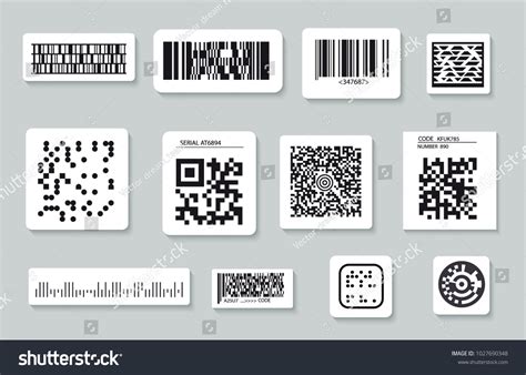 Set Different Types Vector Barcodes Isolated Stock Vector Royalty Free