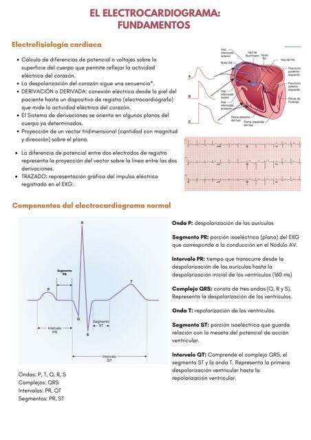 El Electrocardiograma Fundamentos Mg UDocz