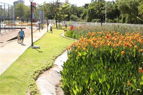 Parque do Recife solução inovadora para despoluir riacho Local