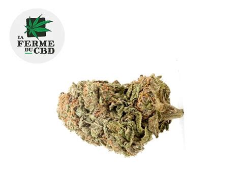 La Ferme Du CBD Avis Code Promo La Ferme Du CBD 2023