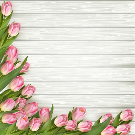 Strauß rosa Tulpen Premium Vektor