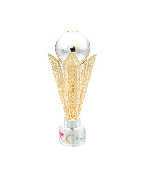Süper Lig Şampiyonluk Kupası Kutulu U231335 28cm gsstore