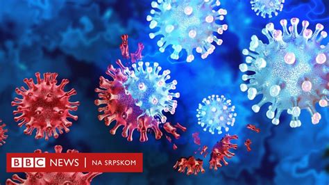 Korona Virus SZO Upozorava Da Se Nova JN 1 Kovid Varijanta Ubrzano