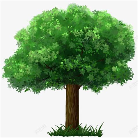 卡通桉树png图片免费下载 素材7zyqgjePq 新图网