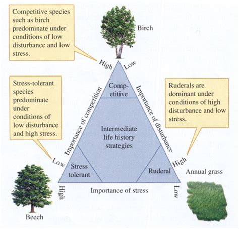 General Ecology Test Flashcards Quizlet